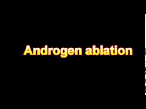 What Is The Definition Of Androgen ablation Medical Dictionary Free Online