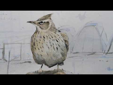 Derek Robertson Singing Under the Same Sky Nature in Art