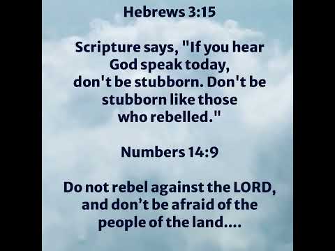 #rebel #rebellion #stubborn #rebellious #biblestudy #shorts