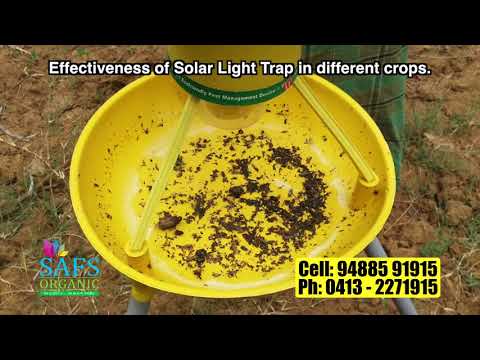Light Traps - Solar LED Insect Light Trap (Fixed Stand) Manufacturer ...