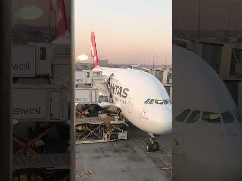Qantas Airbus is ready for boarding, OR Tambo Airport #airbus #airlines #plane