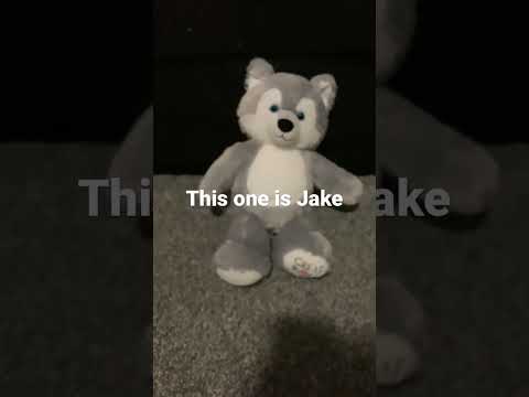 Names of my stuffed animals P1 #nlechoppa #do it again