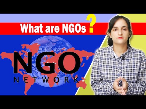 What are Non-Governmental Organisations (NGOs)? | Need, Roles, Issues in Pakistan | Asma Batool
