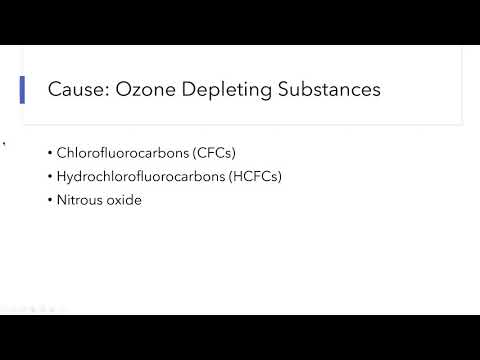 Ozone Depletion: Potential Causes and Effects