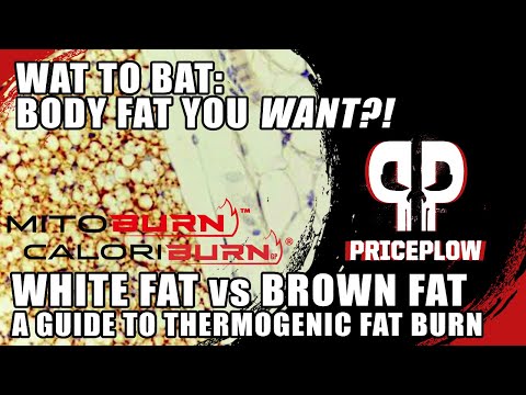 Body Fat You WANT?! Brown Fat vs White Fat, and How to Boost It (WAT to BAT)