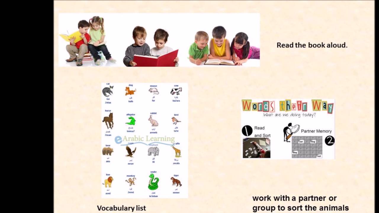 Lesson plan animals