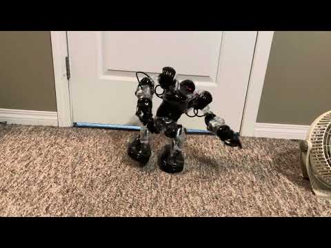 Transparent Robosapien In Action