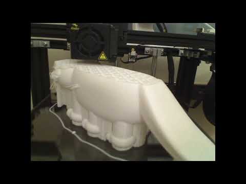 Appa 3D print Timelapse