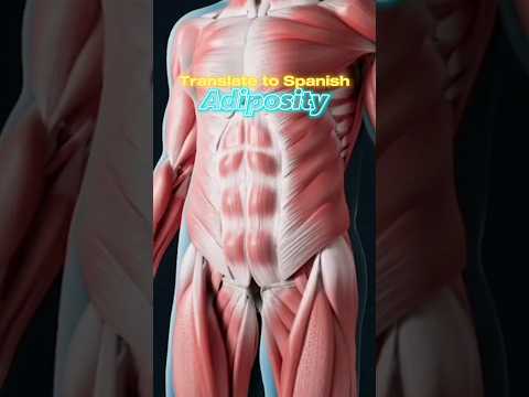 ADIPOSITY Translate to SPANISH | Medical Interpreter Training Vocabulary