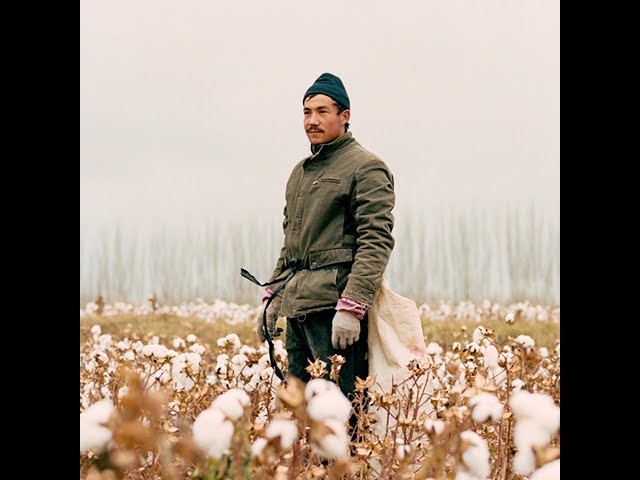 Focus #11 : la répression des Ouïghours saisie par Patrick Wack