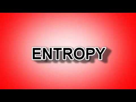 Life reverses entropy. Dr Dawe Research Video.