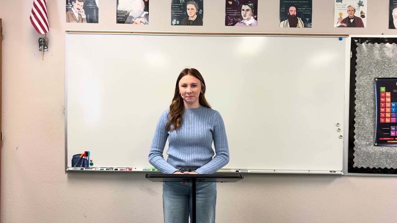 Mastery Assignment 2