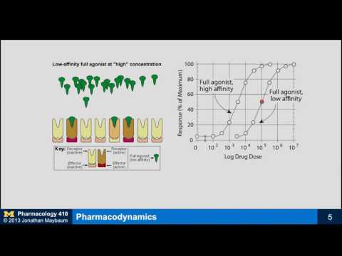 Dynamic Illustration of Ligand Receptor Interactions