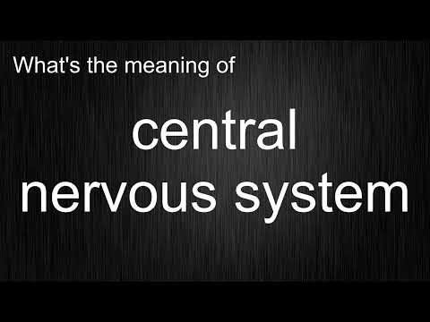 What's the meaning of "central nervous system", How to pronounce central nervous system?