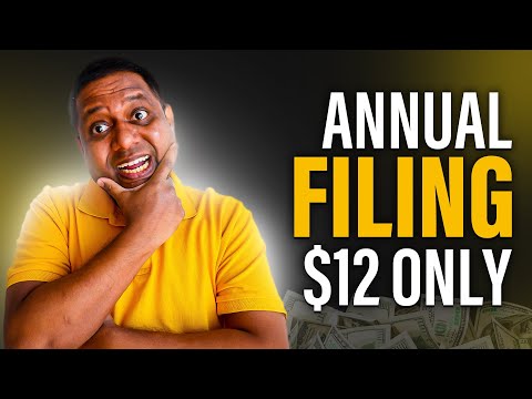 Canada Incorporation Annual Filing Step By Step | Annual Filing In Canada 2025 |🔥