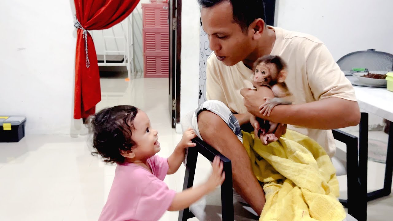Annisa's reaction to seeing the baby monkey Coco is very cute