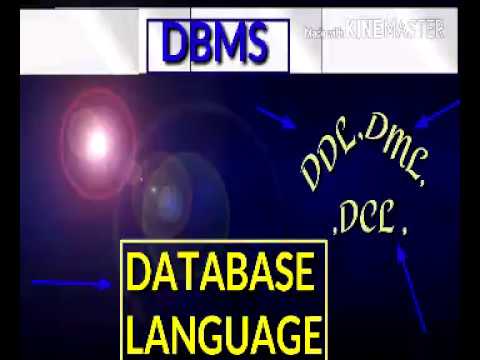 DBMS|Database Language|What is Database Language?What is DDL,DML,DCL Statement in SQL |SQL Statement