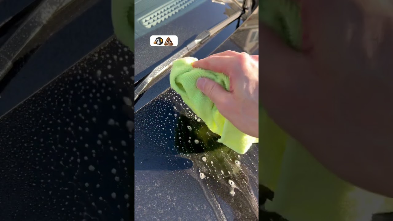 Bird droppings easy removed. Important to not wipe off but lift to avoid scratches.#birddroppings