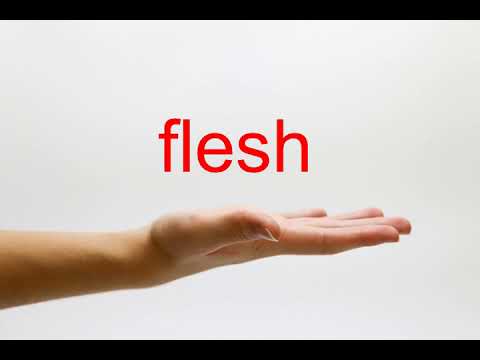 How to Pronounce flesh - American English