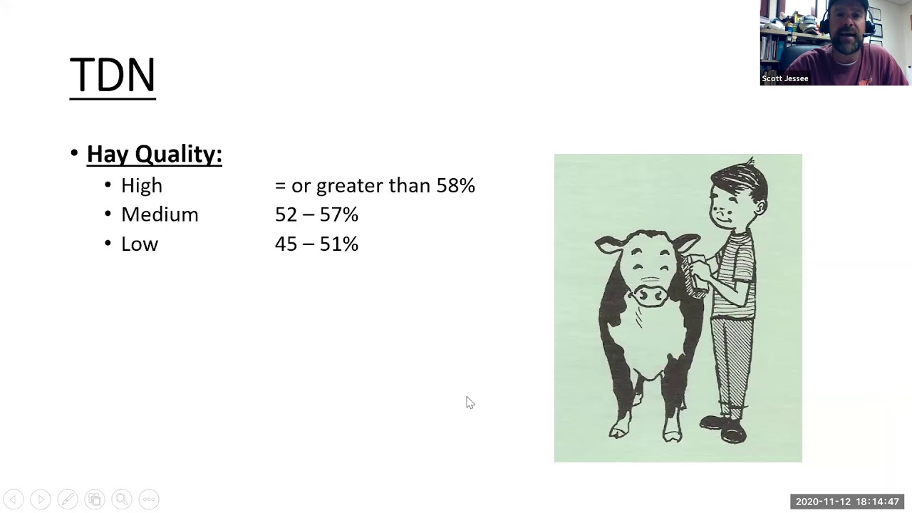 Understanding Forage Test Reports