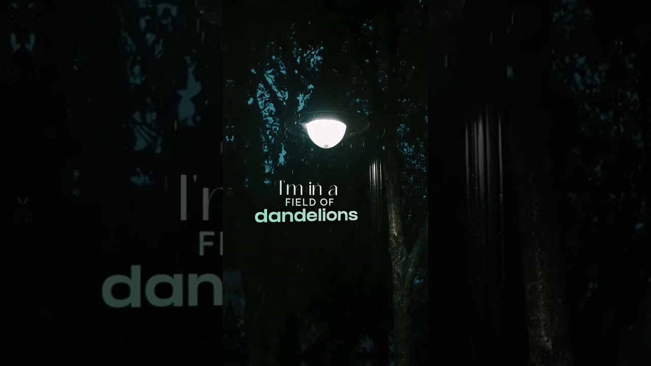 dandelions edit x Vibeeditx #aesthetics #lyrics