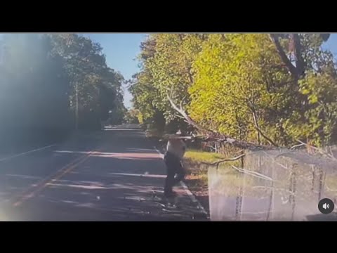 Santa Fe County Sheriff's deputy loses battle against tree branch