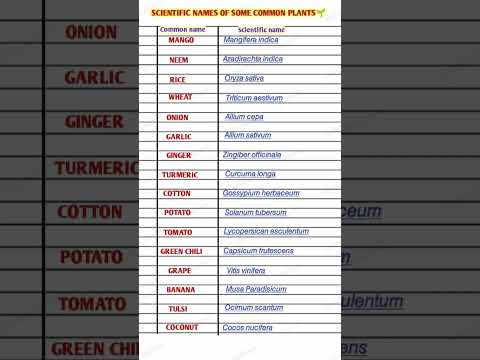 Scientific names of Common Plants???? #short #shorts #scientificname