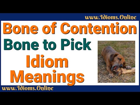 Bone Of Contention | Have a Bone To Pick Meanings w/ Idiom Examples and Origins