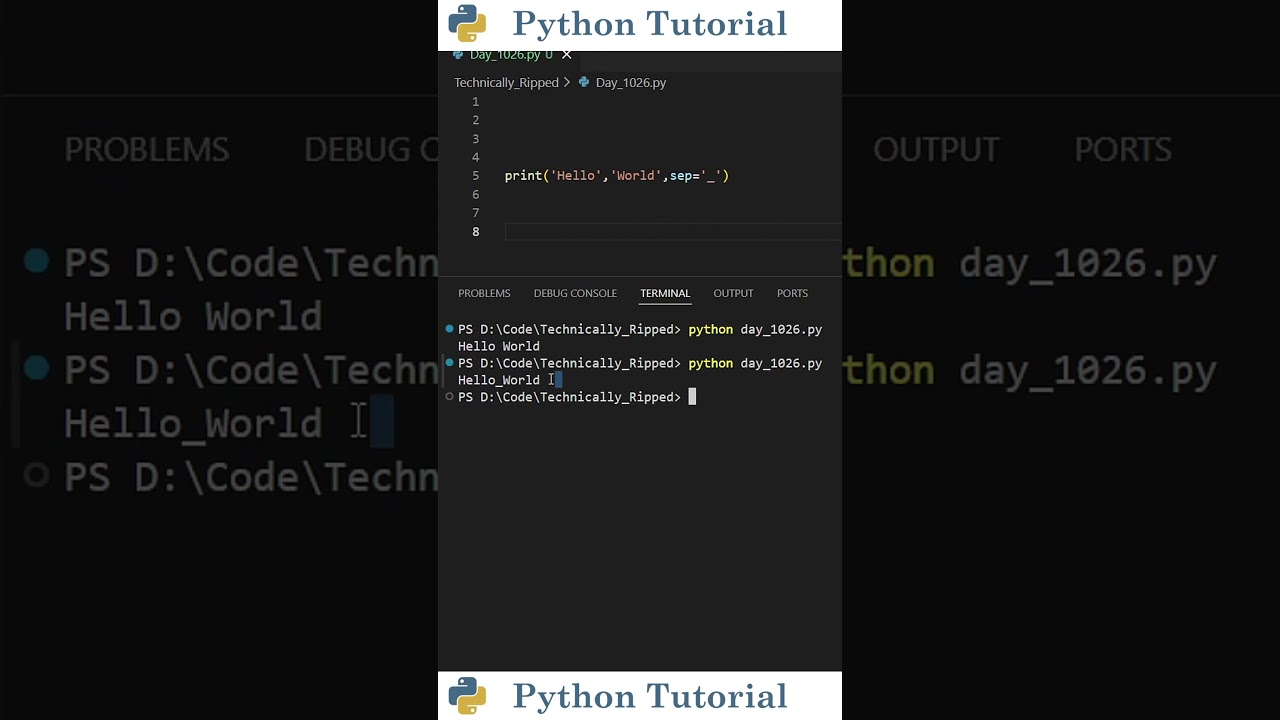 The Hidden Parameter of Print | Python Tutorial