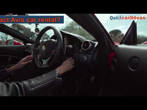 How do I contact Avis customer service?