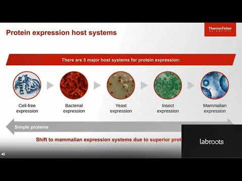 Concept-to-Commercialization: Thermo Fisher's Unique Approach to Rapidly Advancing Your Antibody...