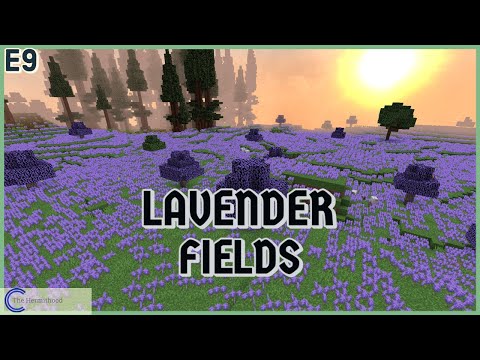 Lavender Fields | Minecraft 1.18 Modded – E10 – The Hermithood Studios