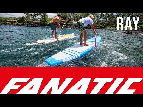 Fanatic Ray 2016