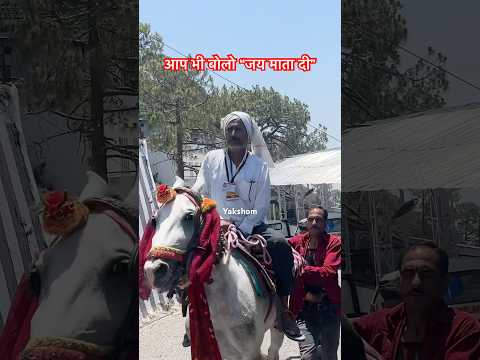 वैष्णो देवी: आप भी बोलो “जय माता दी” #vaishnodevi #yakshom #vaishnodeviyatra #viralvideo