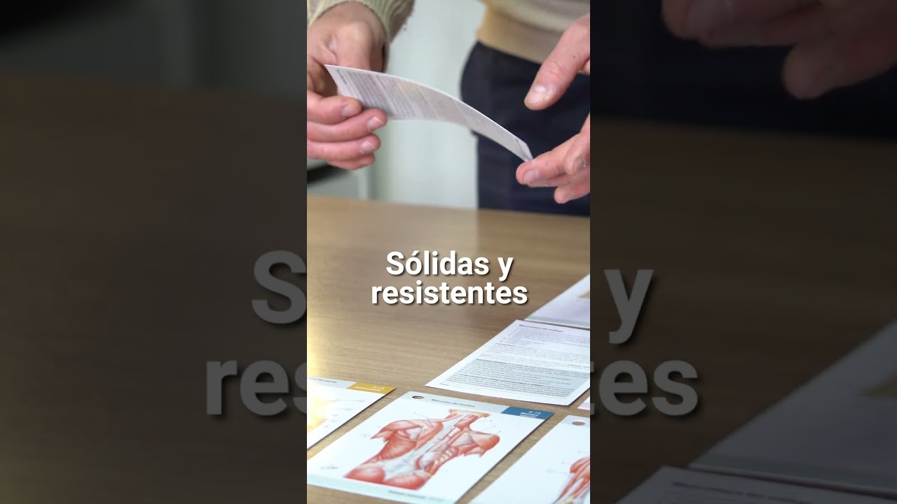 Netter. Flashcards de Anatomía