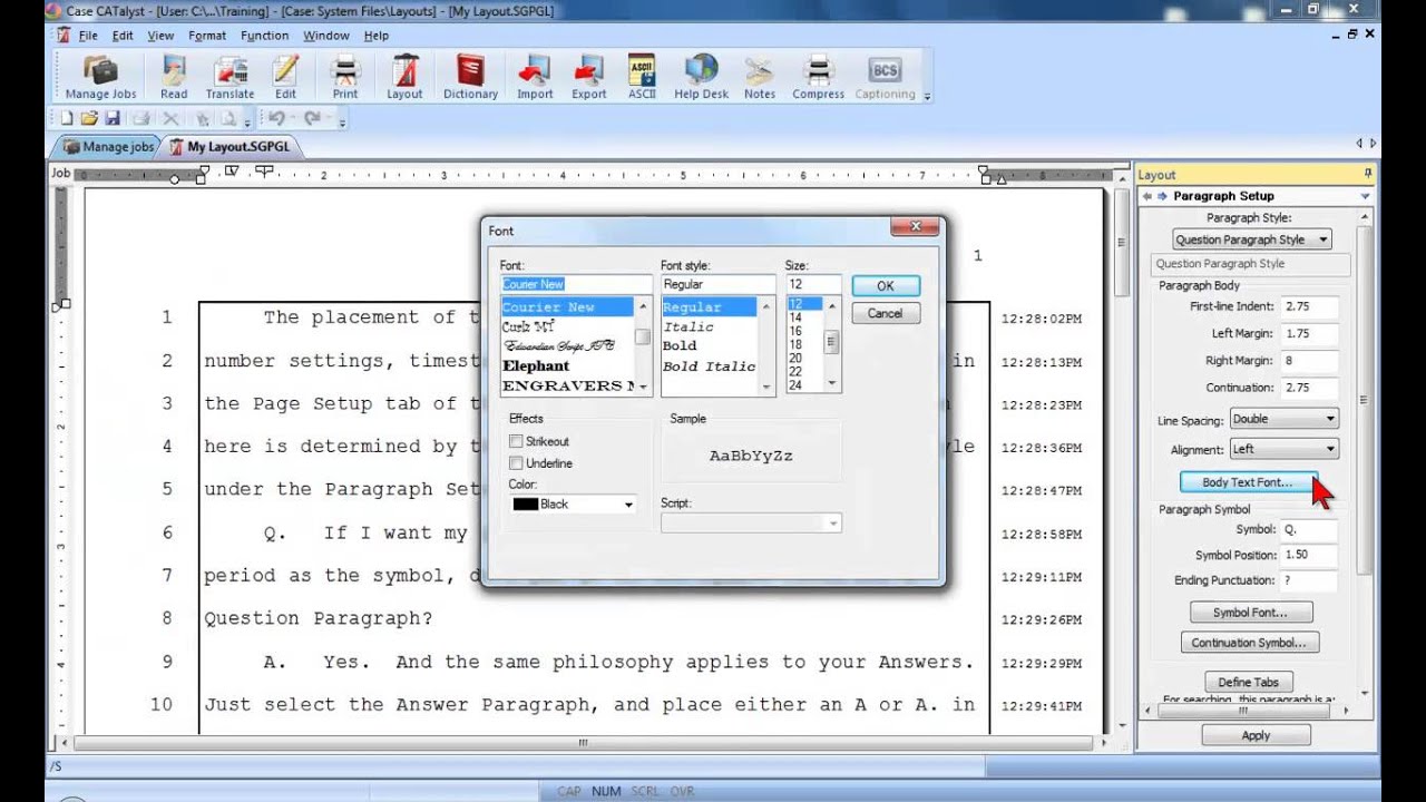 CATalyst Training: Paragraph Setup