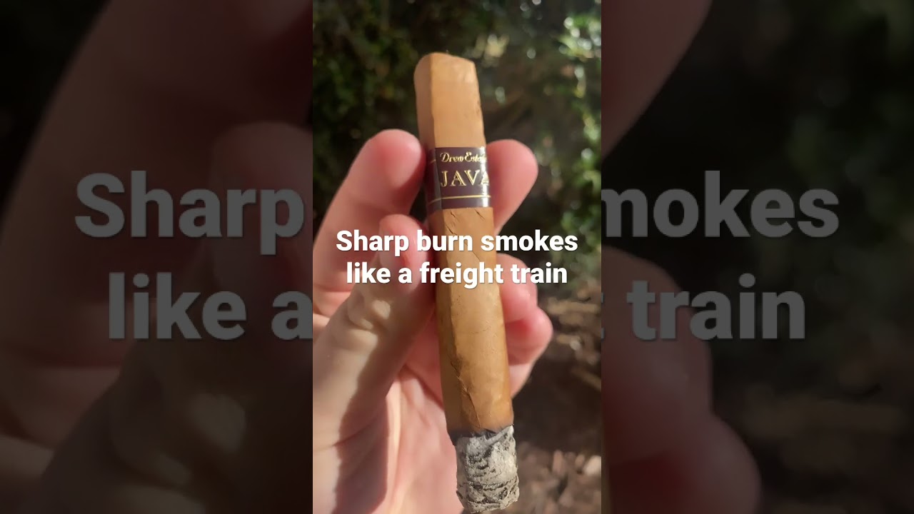 Drew Estate/Rocky Patel Java Latte #21andover #cigarstyle #youtubeshorts #cigarsociety #drewestate