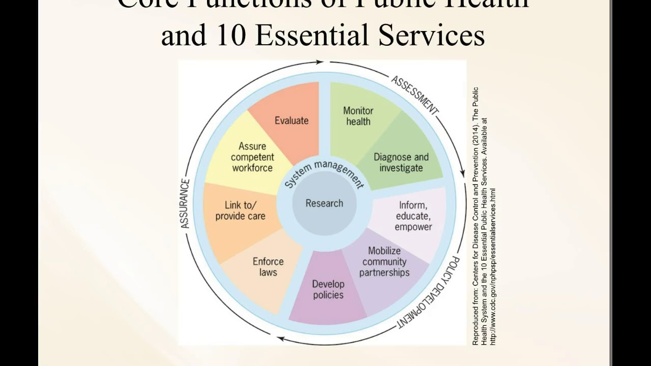 Chapter 2 Lecture PPT