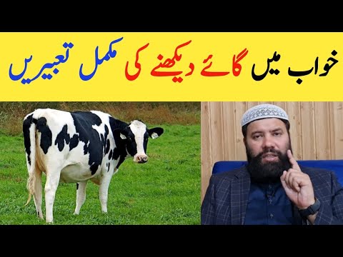 khwab mein gaye dekhna kaisa hai |to see a cow in a dream |sapne mein gaye dekhna |cow dream meaning