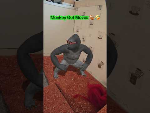 Monkey Got Moves 🤣
