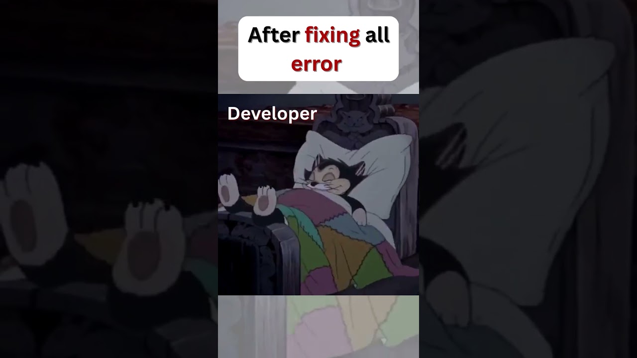 😴 Developer Sleep Mode ON  After Fixing All Errors 🖥️🐱  Programming Meme