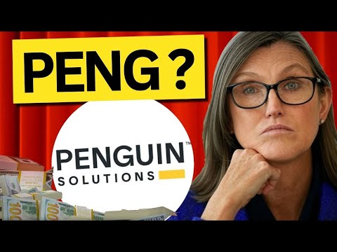 PENG Stock NEWS WEDNESDAY! (quick alert!) Penguin Solutions stock analysis best broker review