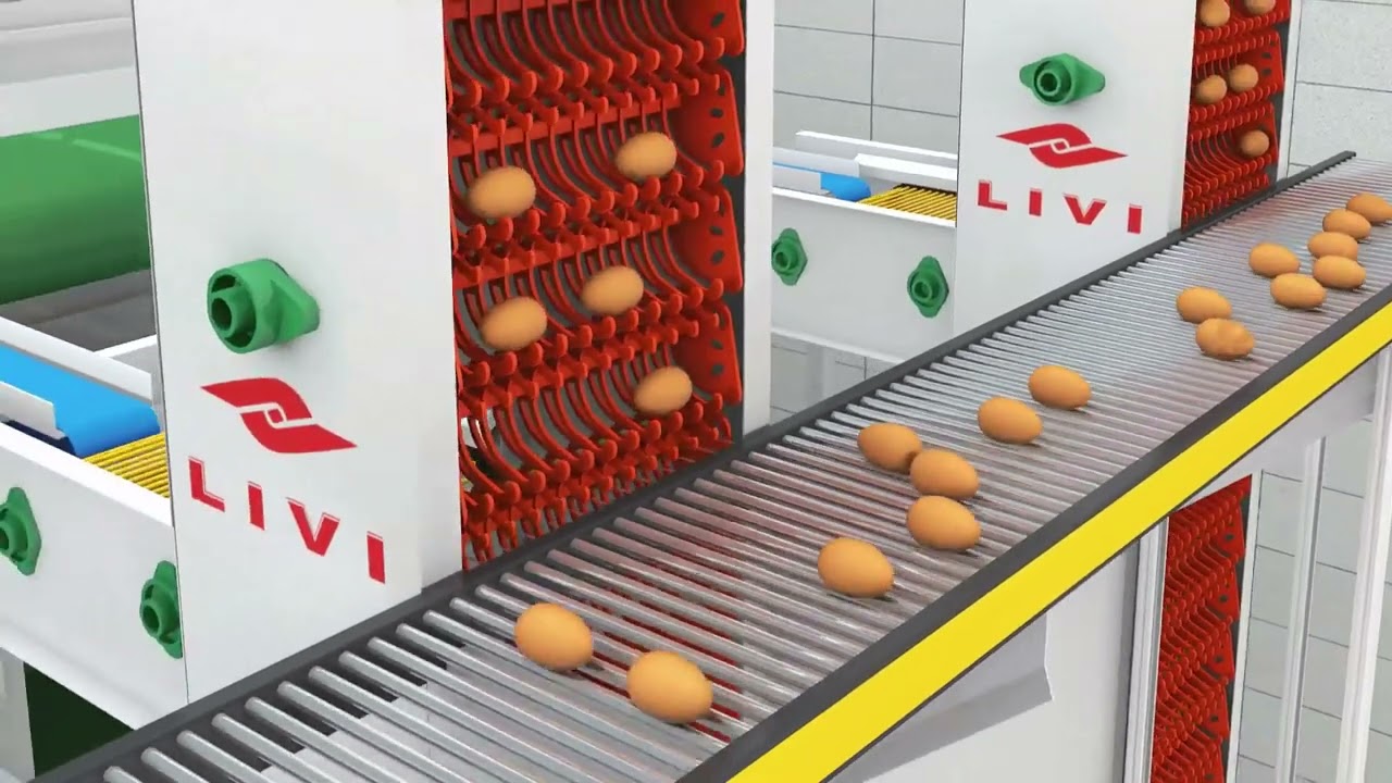 How H-Type Layer Chicken Cage System Boosts Egg Production & Automates Your Poultry Farm