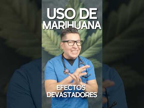 🔴 DEVASTATING EFFECTS ☠️ of CHRONIC USE of MAR1HU4NA 🌿⚠️