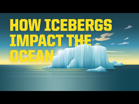 Icebergs and Climate Change | How fresh water affects the ocean