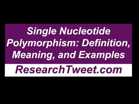 Single Nucleotide Polymorphism: Definition, Meaning, and Examples