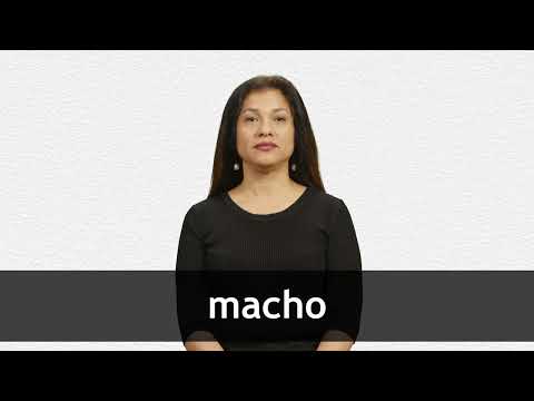 English Translation of “MACHO” | Collins Spanish-English Dictionary