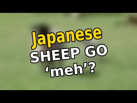 Japanese sheep go ‘meh’? | Absurd Facts – Ministry of Facts