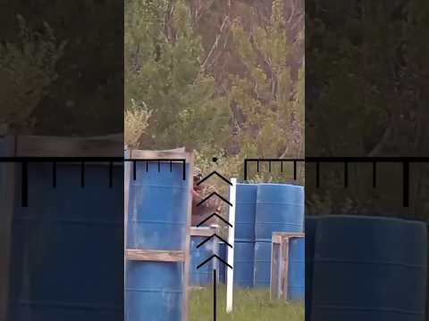 POV: sniper drills shot at over a 100 meters… #shorts