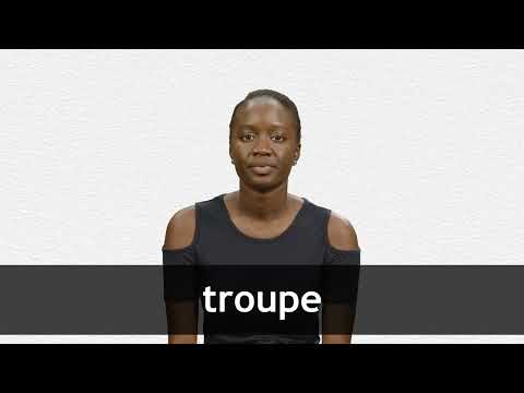 English Translation of “TROUPE” | Collins French-English Dictionary